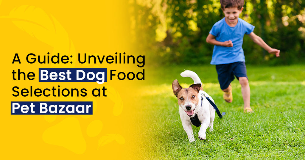 A Guide: Unveiling the Best Dog Food Selections at Pet Bazaar
